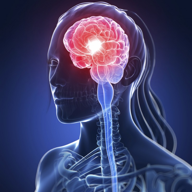 Craniosacral Therapy – Chadwell Method